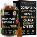 Mushrooms Complex Gummies for memory