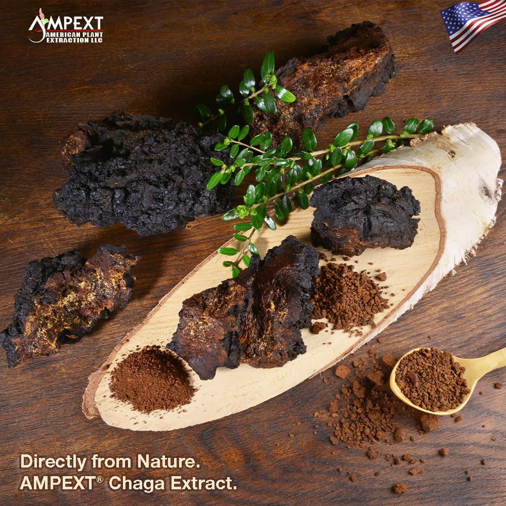 Mushrooms extract for daily vitality
