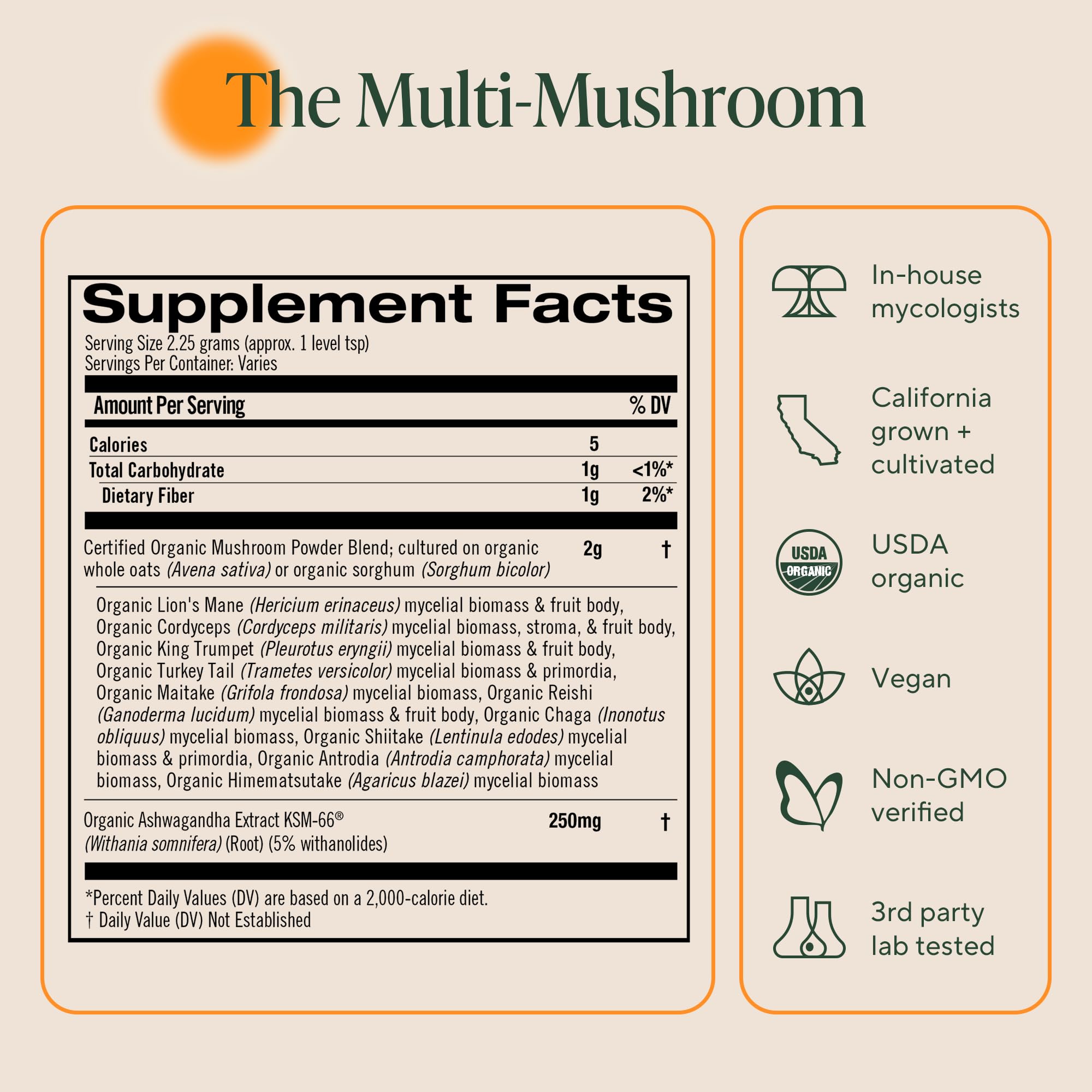 mushrooms for a balanced lifestyle