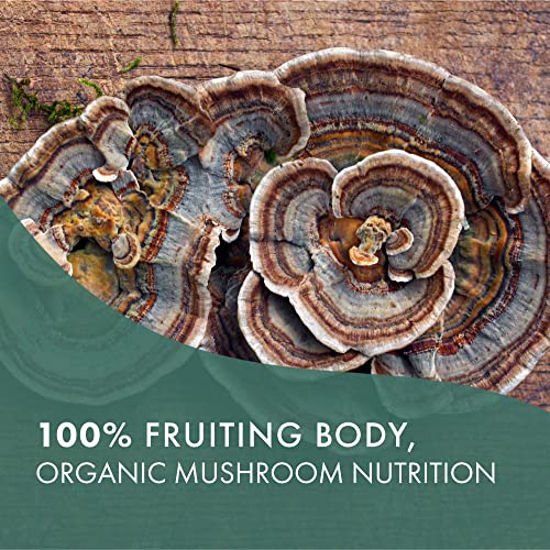 mushrooms for a healthy lifestyle