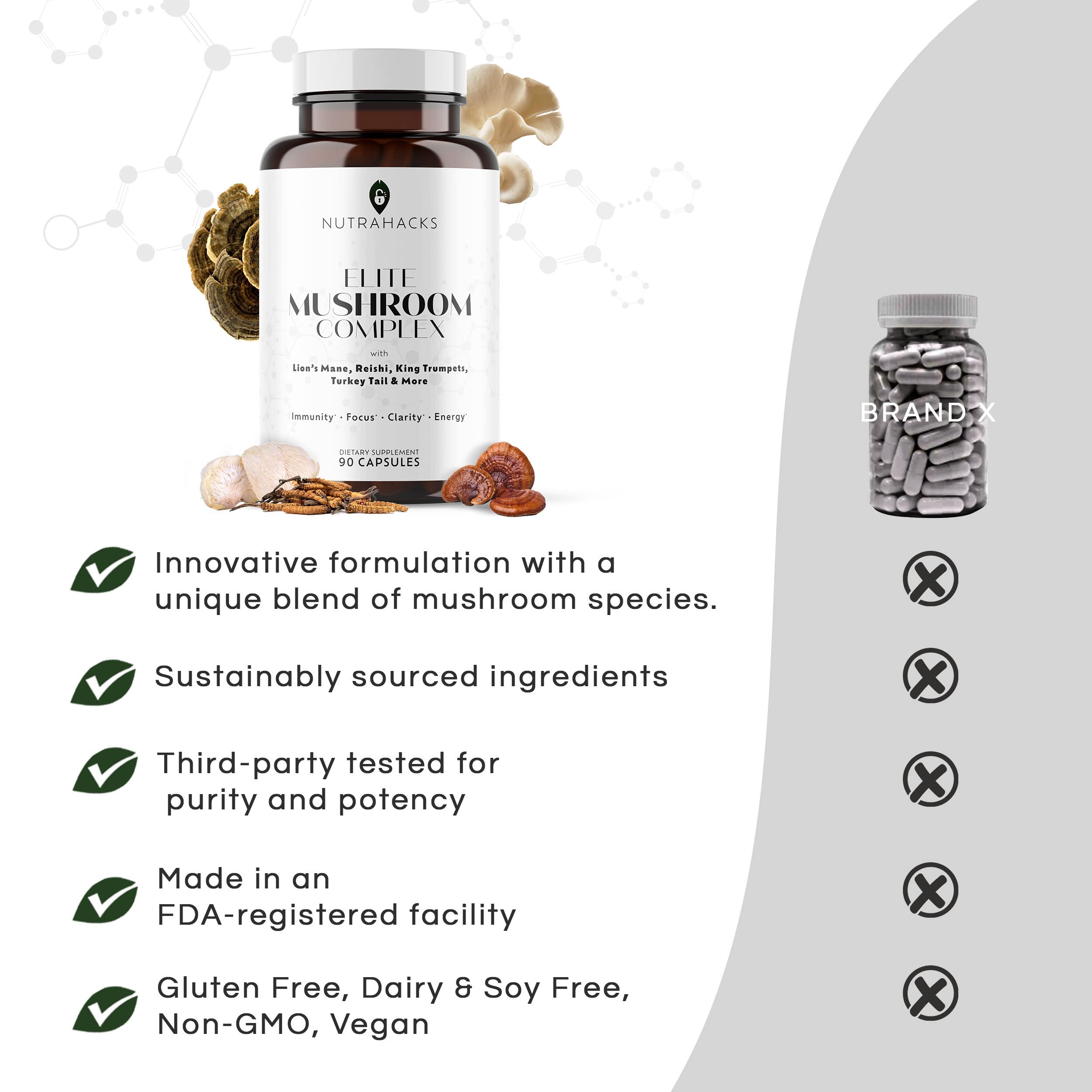 mushrooms for better concentration