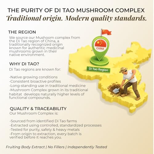 Mushrooms for better focus and concentration