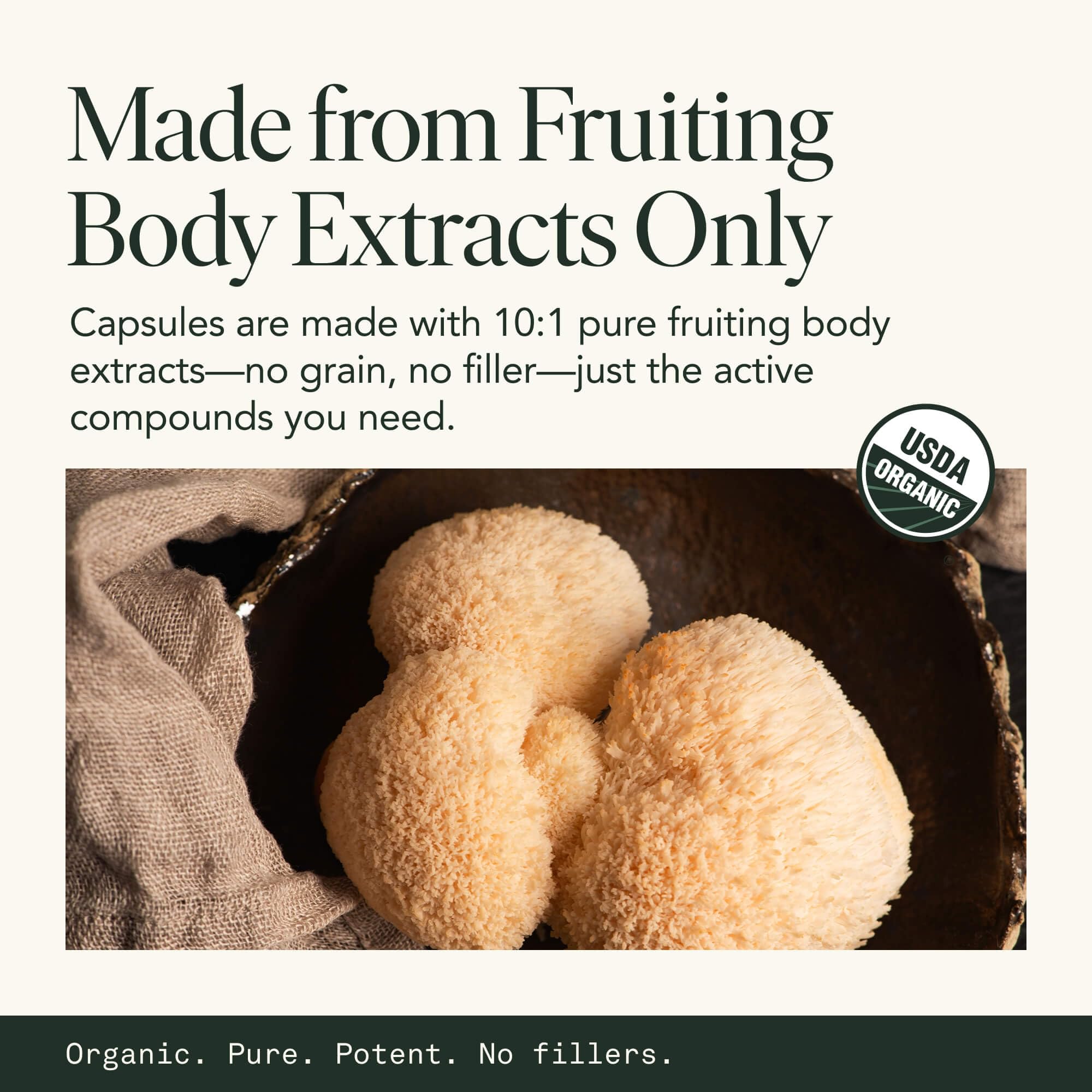 mushrooms for better sleep quality