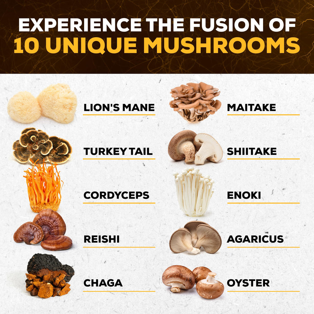 Mushrooms for better sleep support