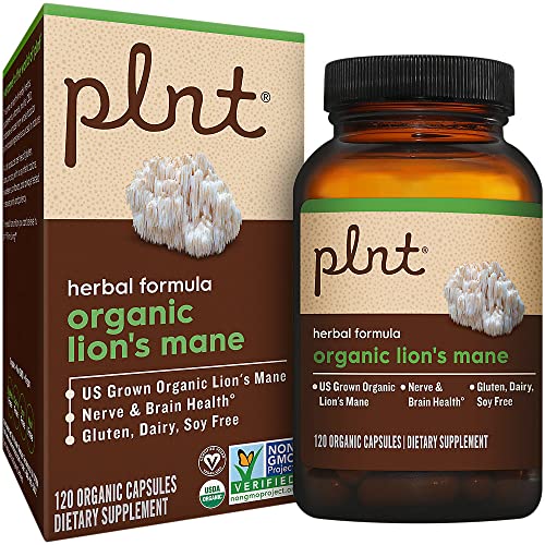 mushrooms for brain health support