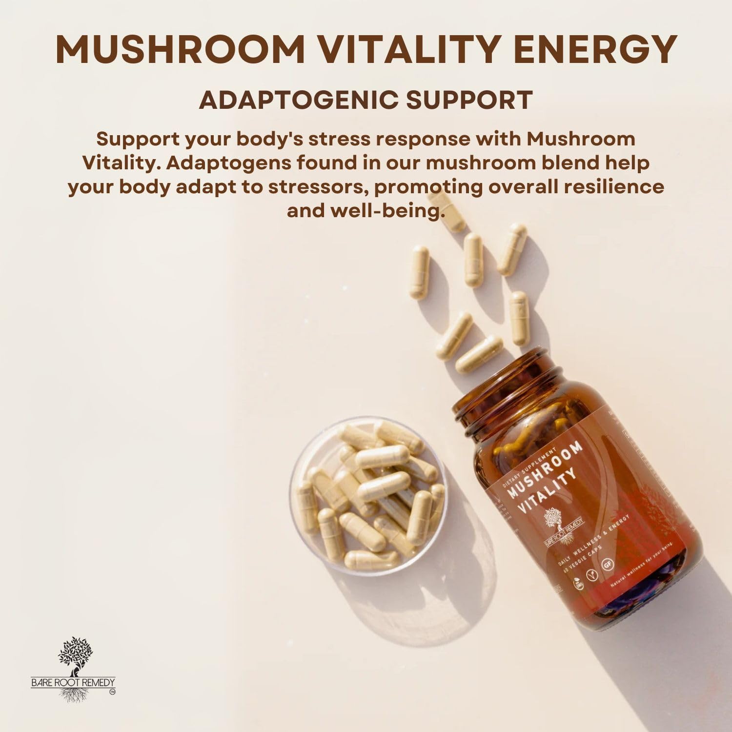 mushrooms for clean energy