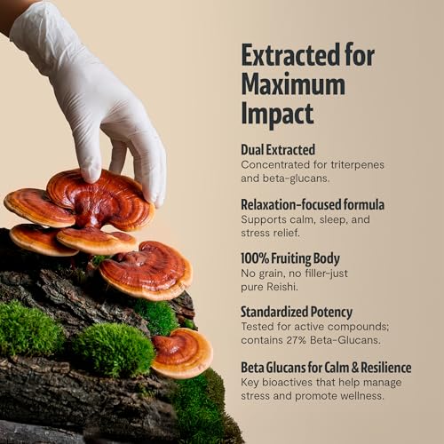 mushrooms for cognitive enhancement
