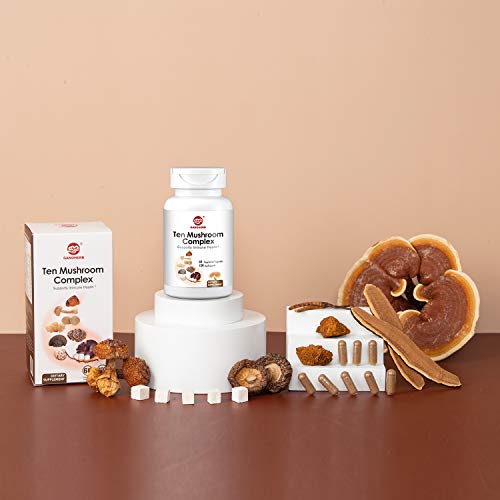 mushrooms for cognitive function support