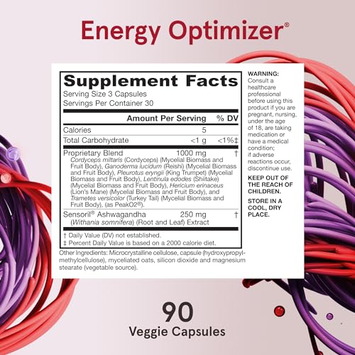 mushrooms for cognitive function support