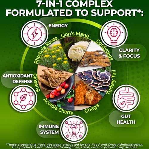 mushrooms for cognitive function support
