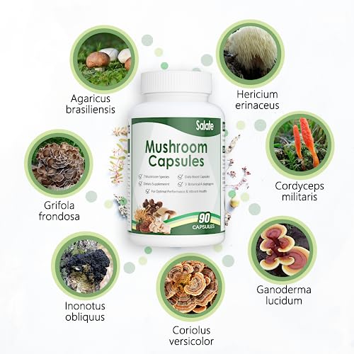 Mushrooms for cognitive function
