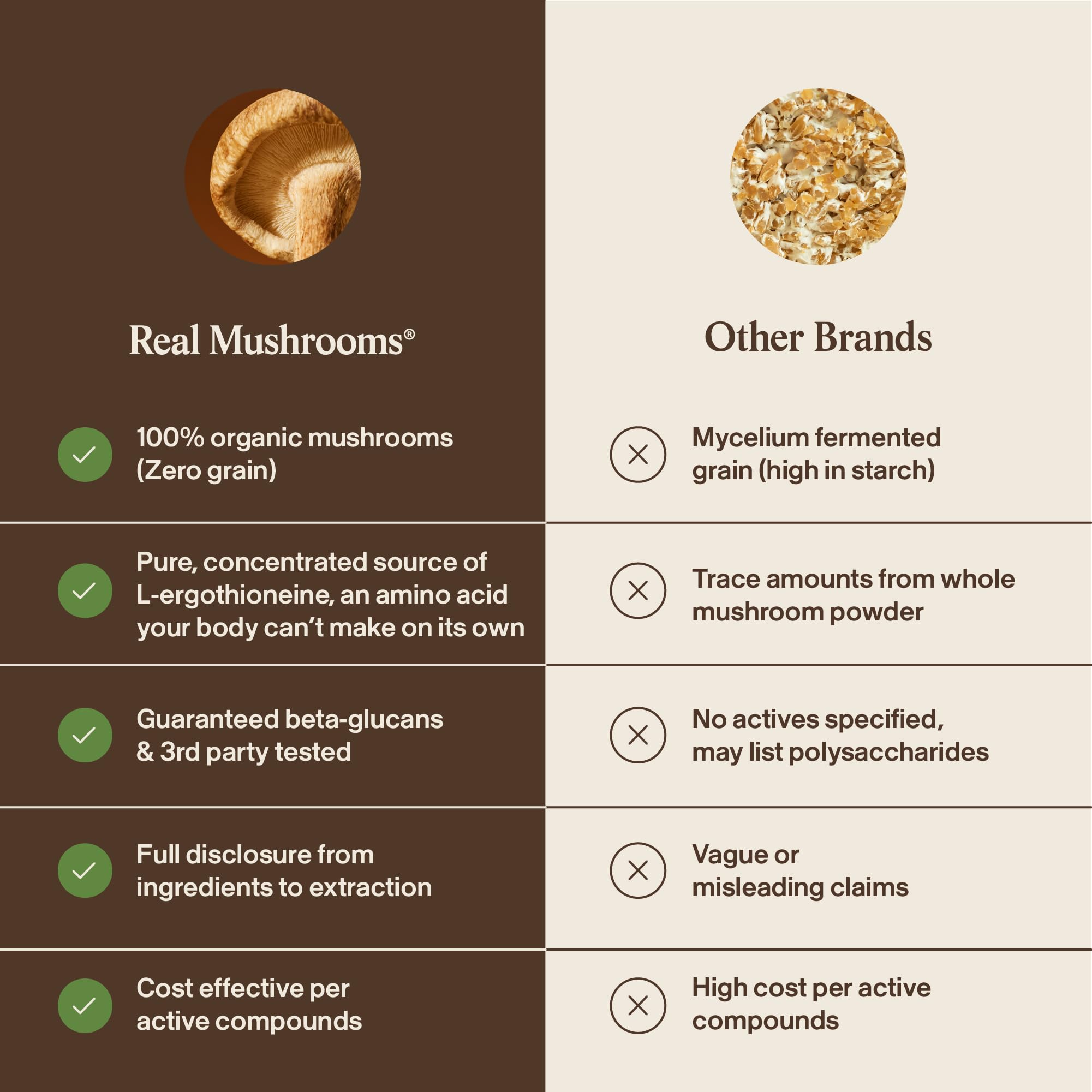 mushrooms for cognitive function