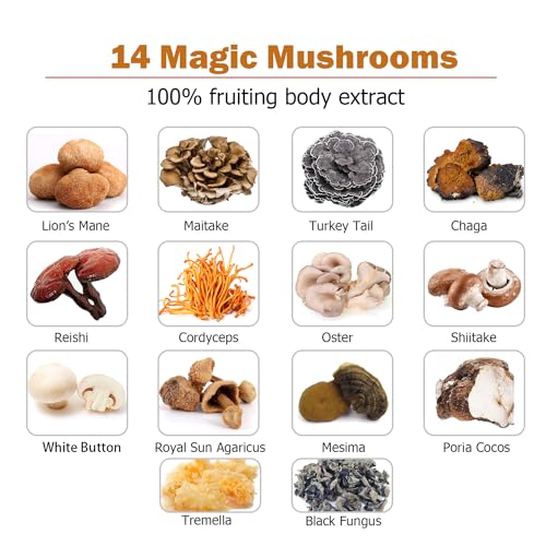mushrooms for cognitive function