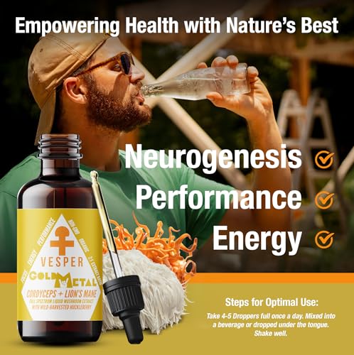 Mushrooms for cognitive health and focus