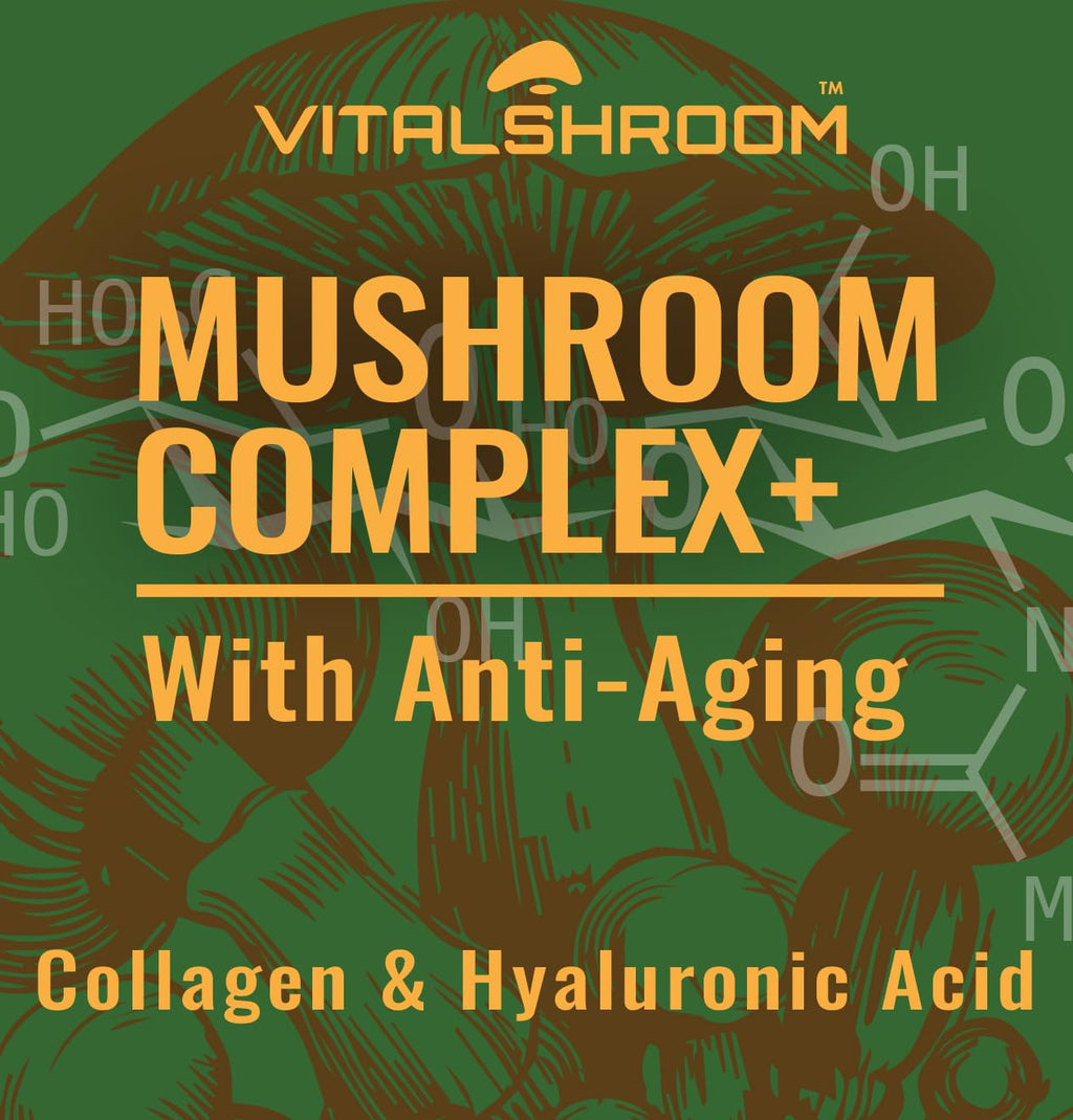 mushrooms for cognitive support