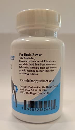 mushrooms for cognitive support