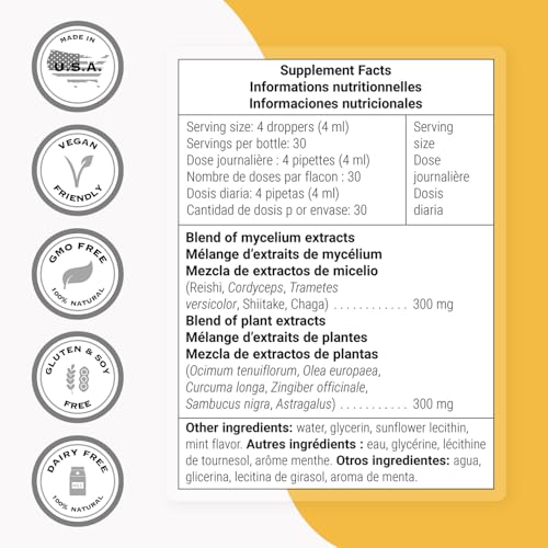 mushrooms for daily energy boost