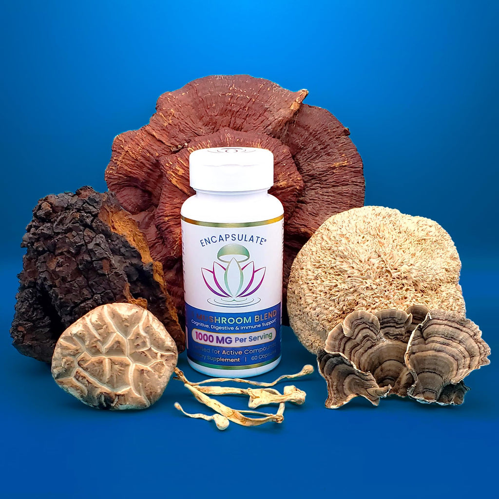 mushrooms for daily nutritional support