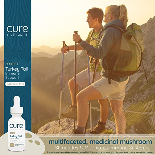 mushrooms for digestive support