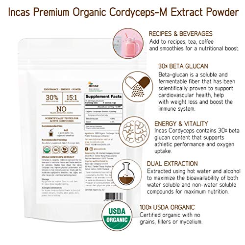 mushrooms for endurance support