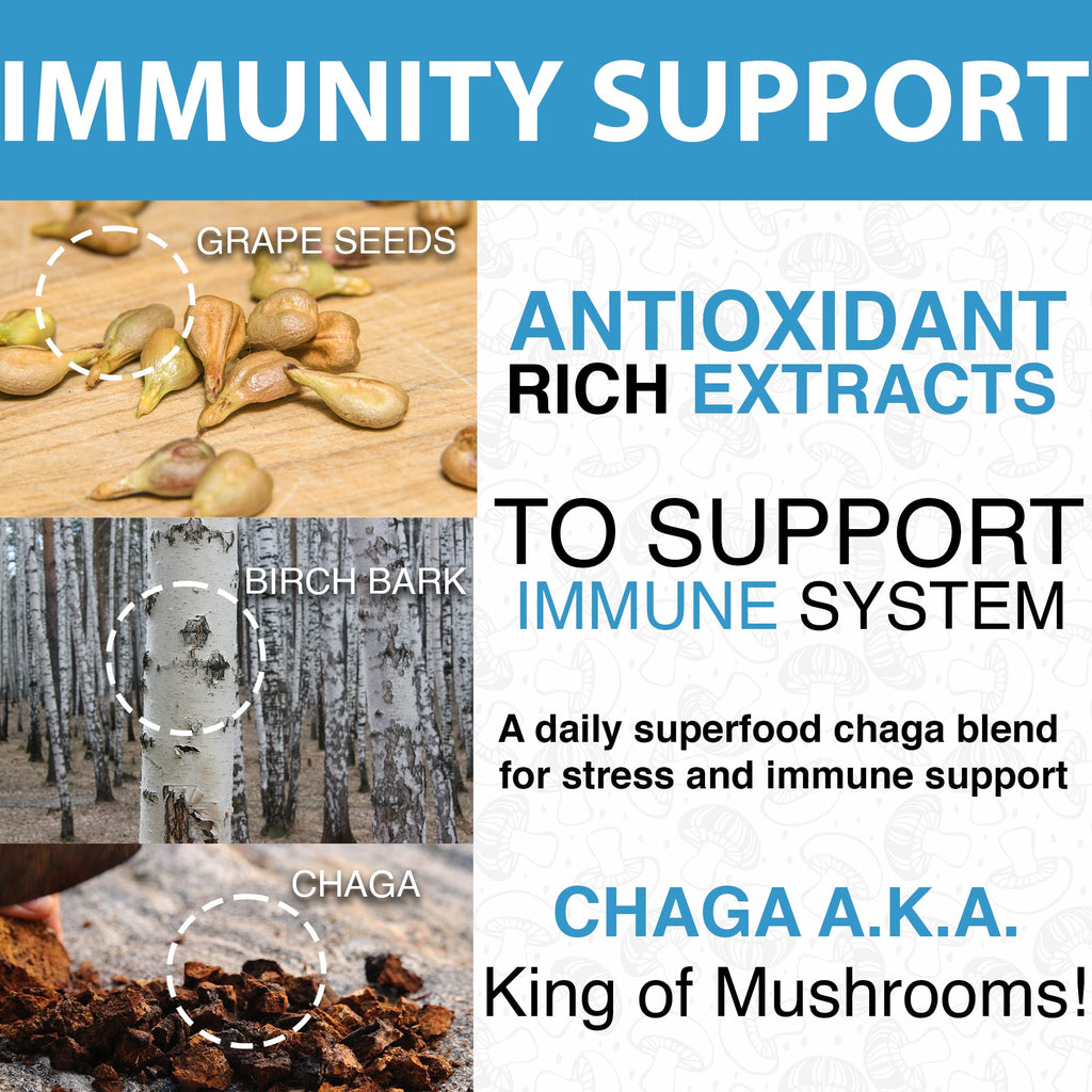 mushrooms for energy and focus