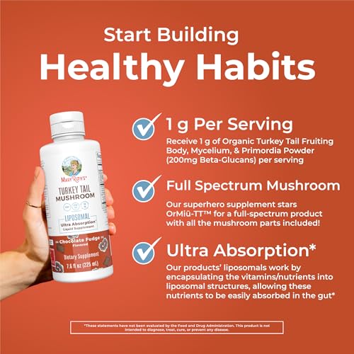 mushrooms for energy and focus