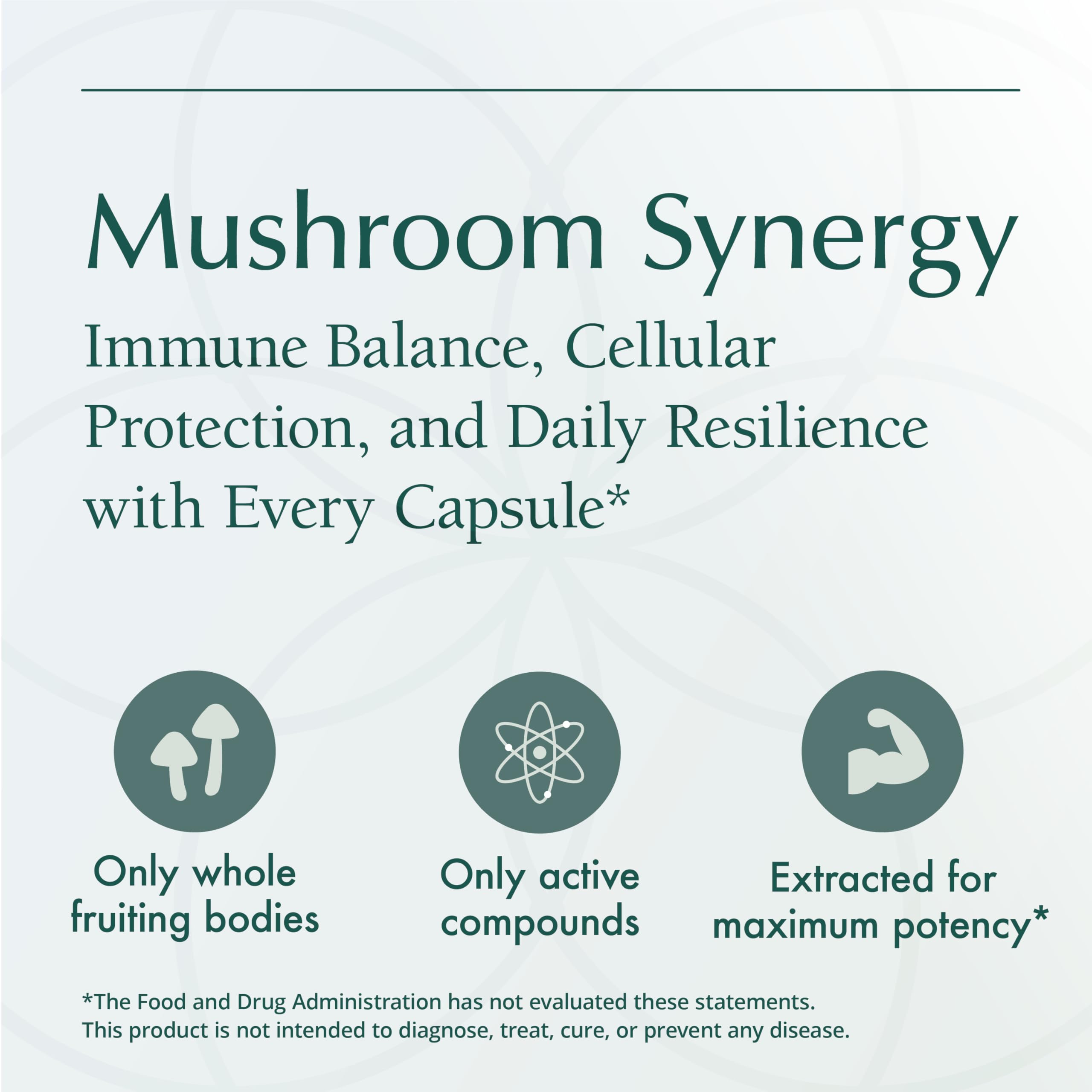 mushrooms for energy and vitality