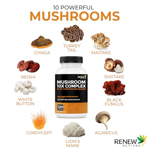 mushrooms for energy and vitality