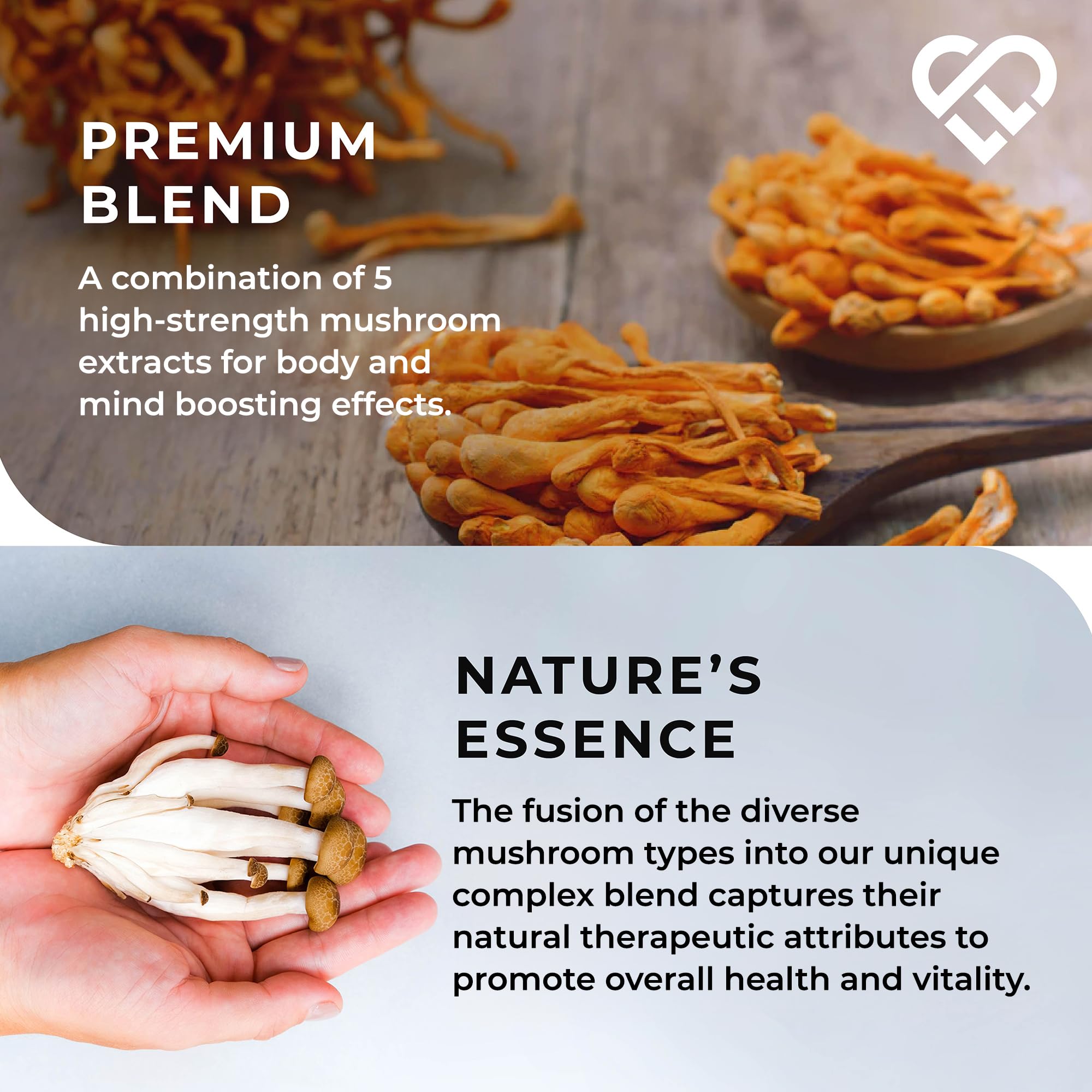 Mushrooms for enhanced athletic performance