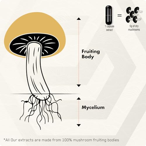 mushrooms for enhanced cognitive function