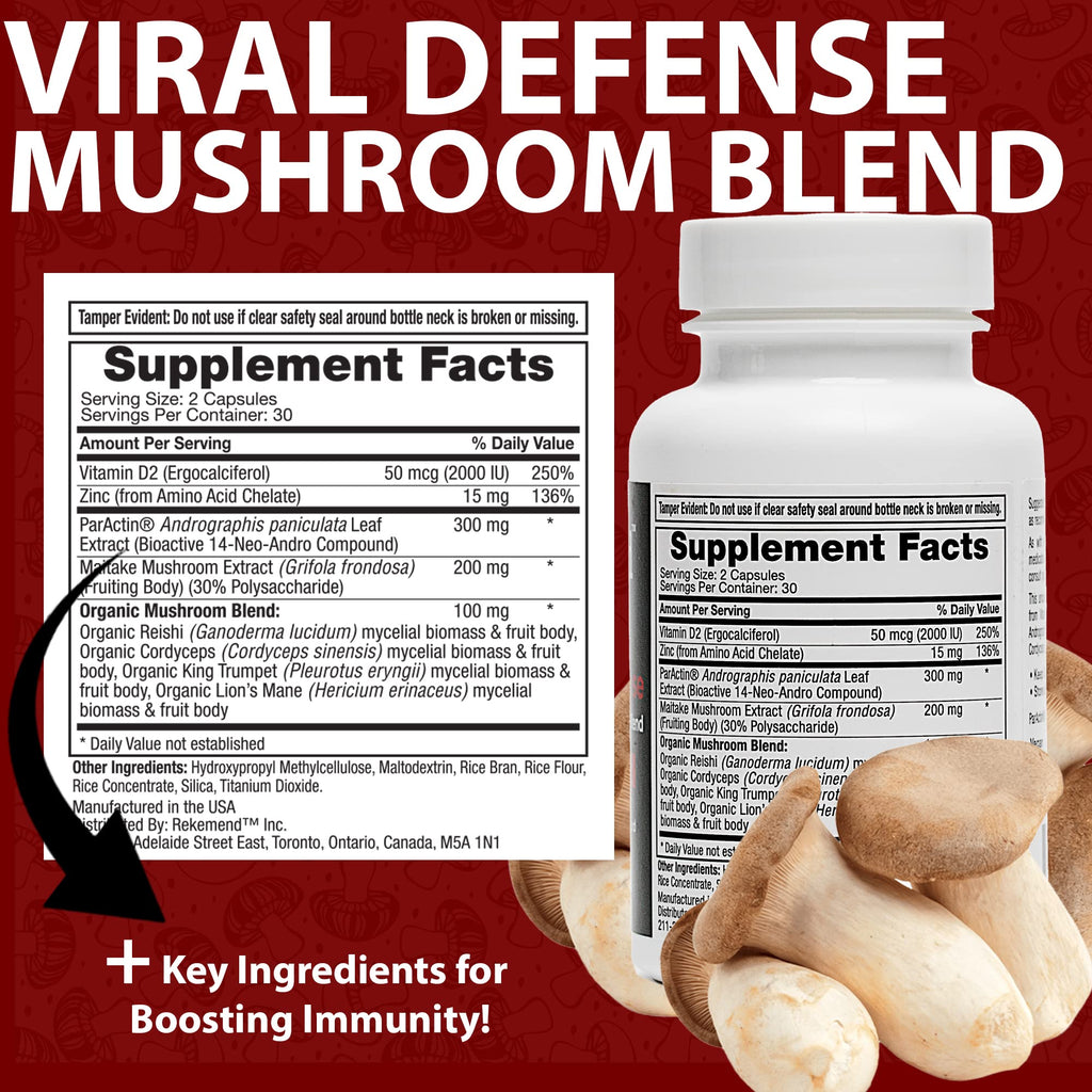mushrooms for enhanced cognitive function