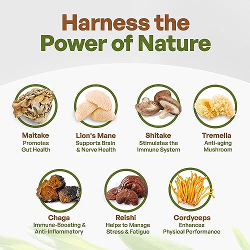 Mushrooms for enhanced cognitive function