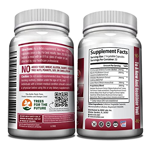 Mushrooms for enhanced cognitive function