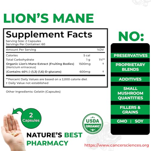 mushrooms for enhanced concentration