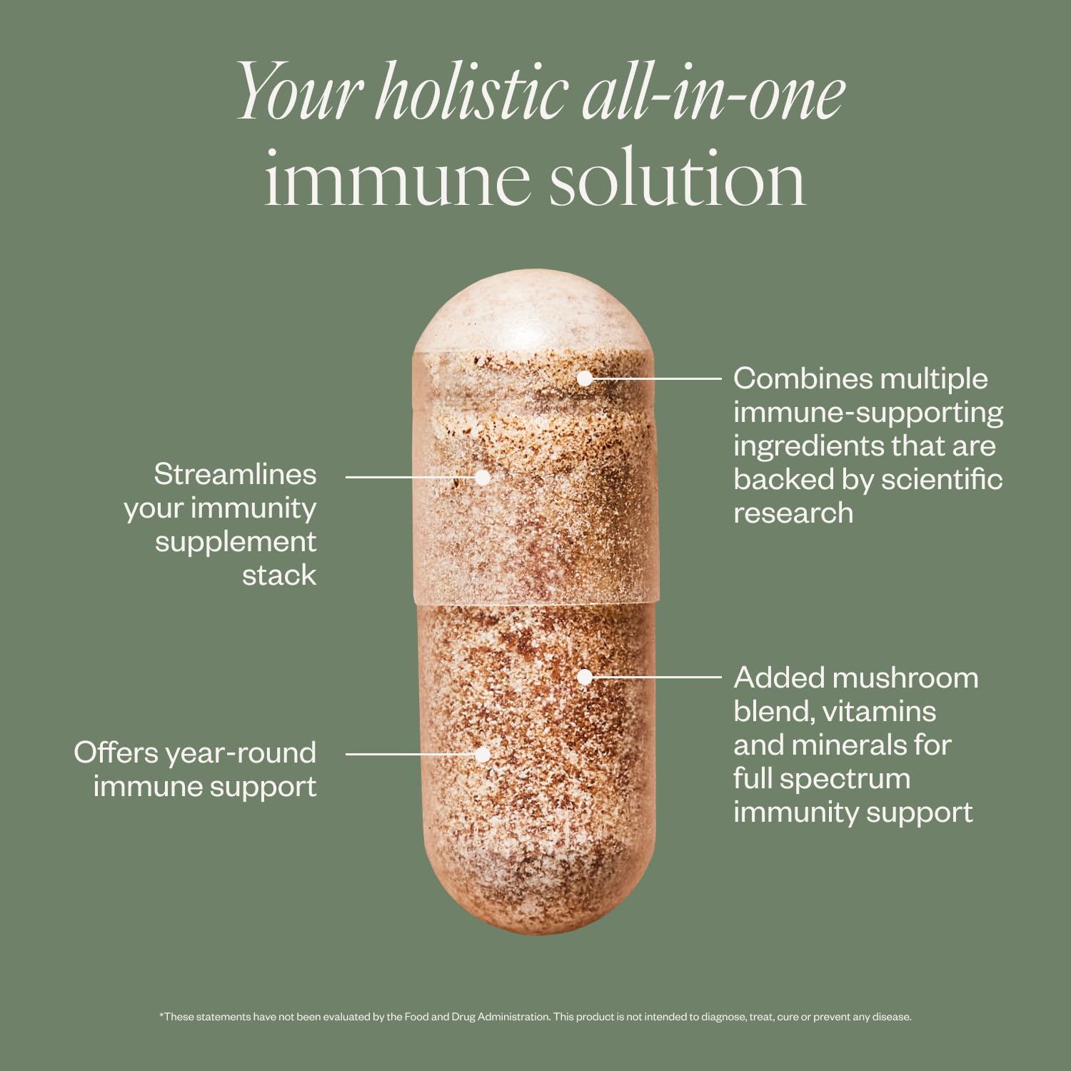 mushrooms for enhanced daily wellness
