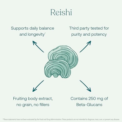 mushrooms for enhanced energy levels