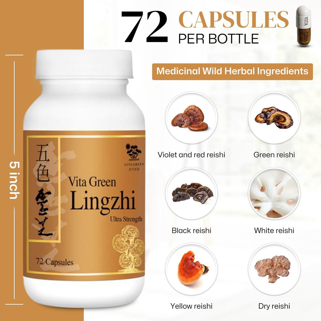 mushrooms for enhanced energy levels