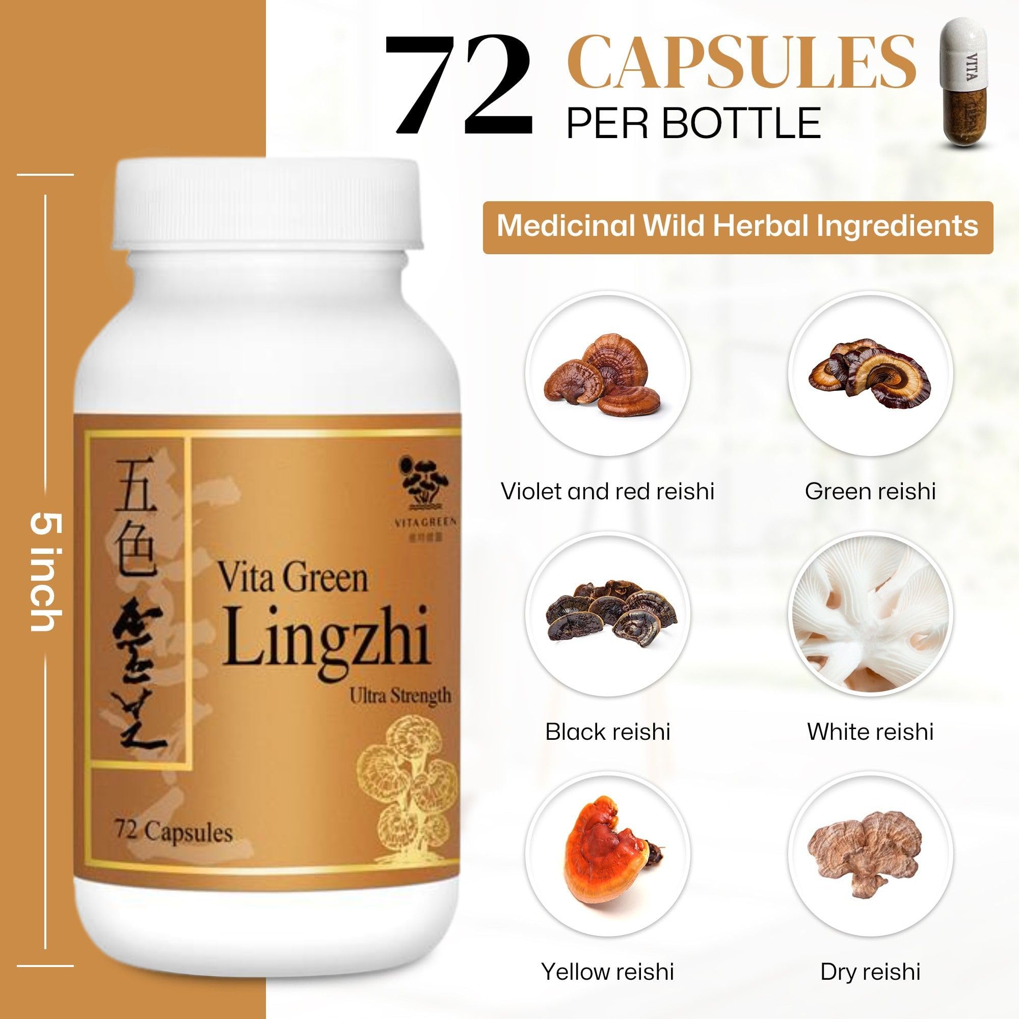 mushrooms for enhanced energy levels