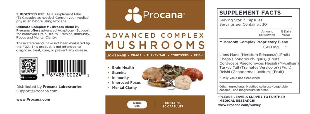 Mushrooms for enhanced focus and clarity