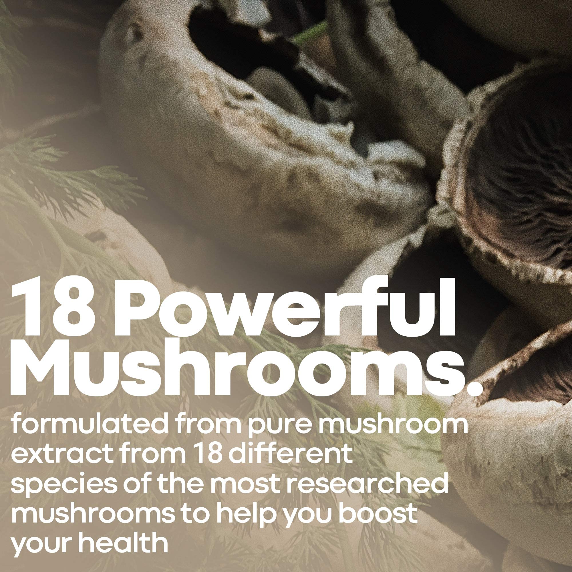 mushrooms for enhanced focus