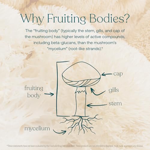 mushrooms for enhanced immune function