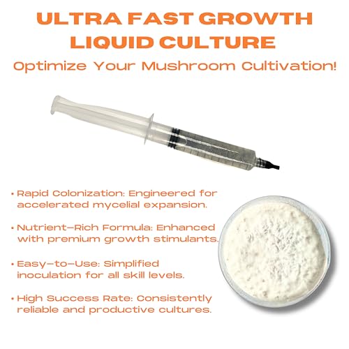 Mushrooms for enhanced immune support