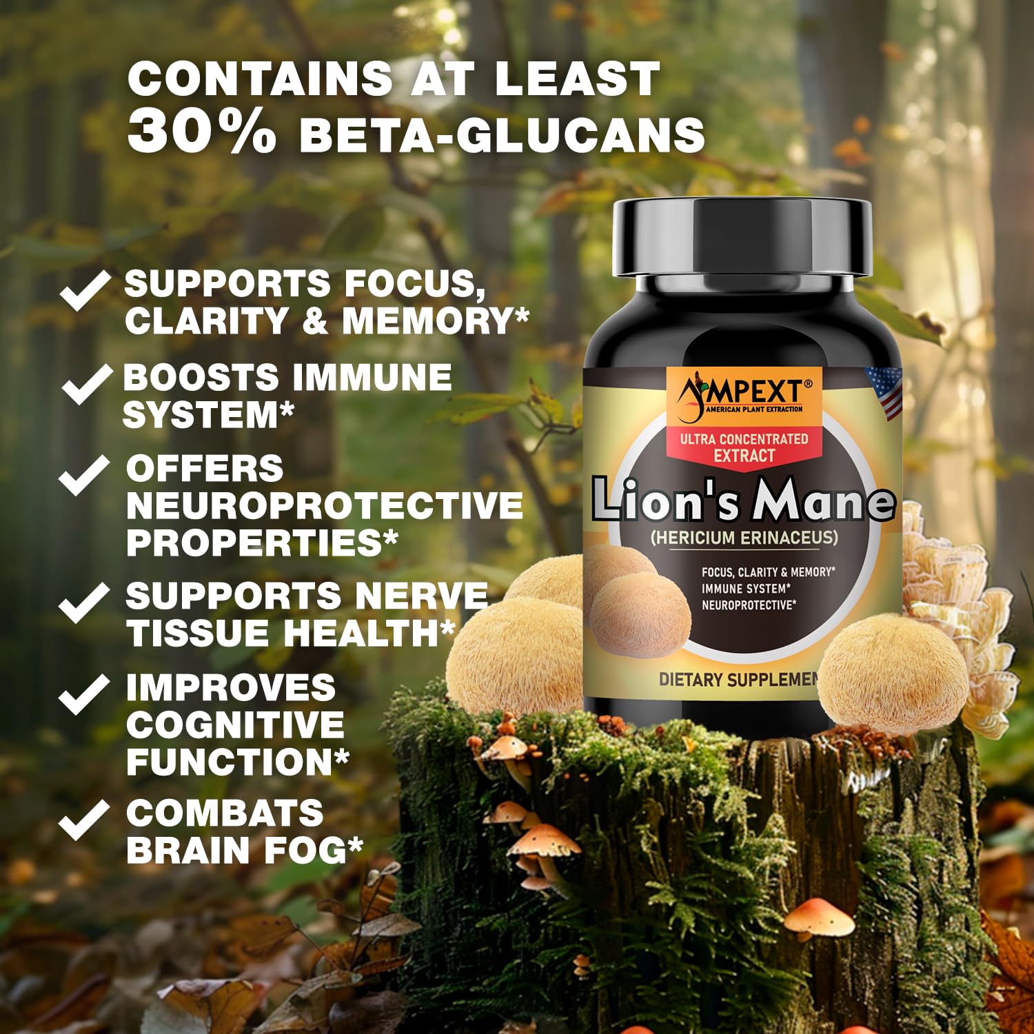 mushrooms for enhanced immunity support