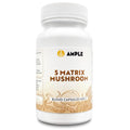 mushrooms for enhanced immunity