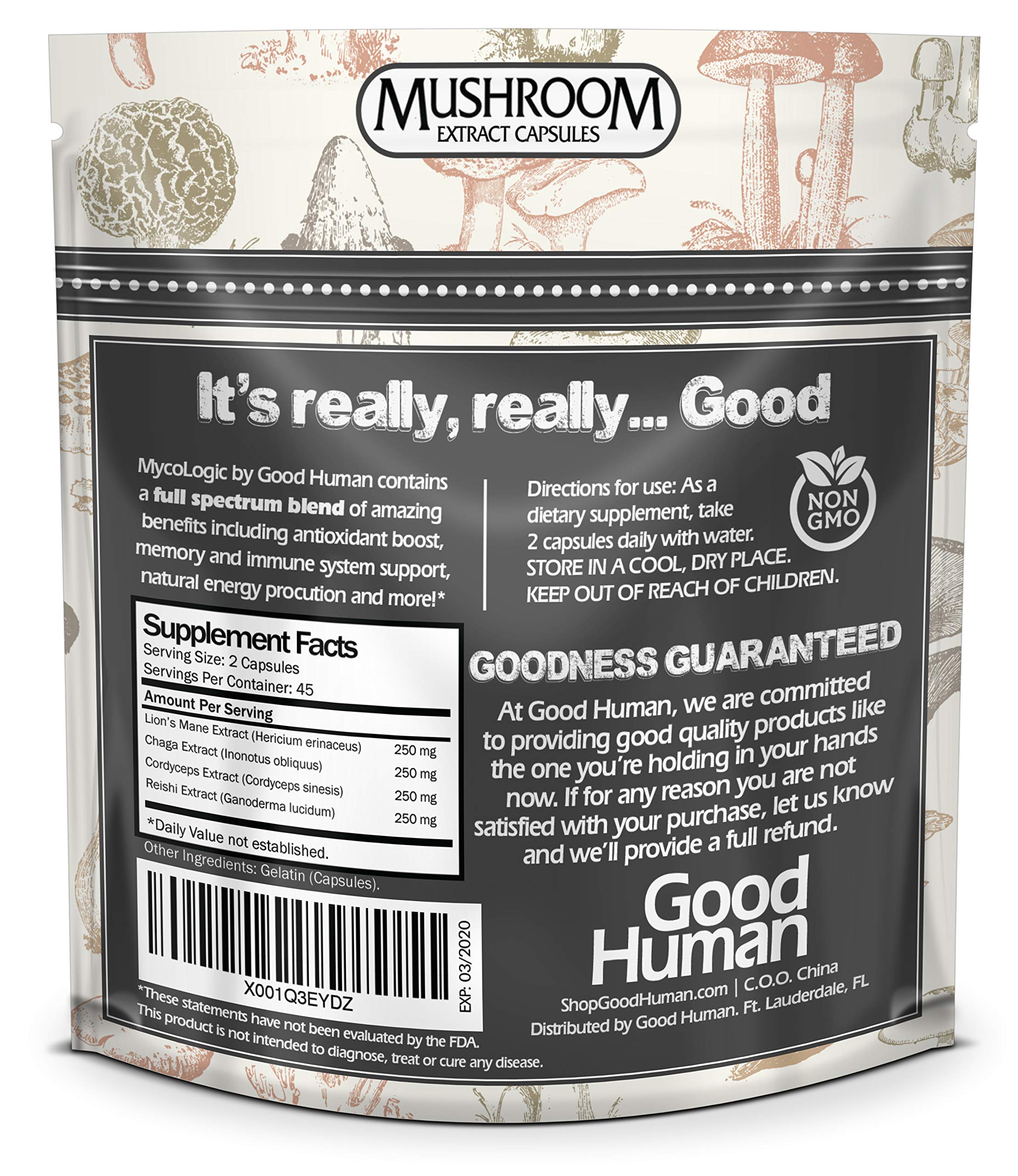 mushrooms for enhanced memory support