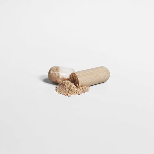 Mushrooms for enhanced mental clarity