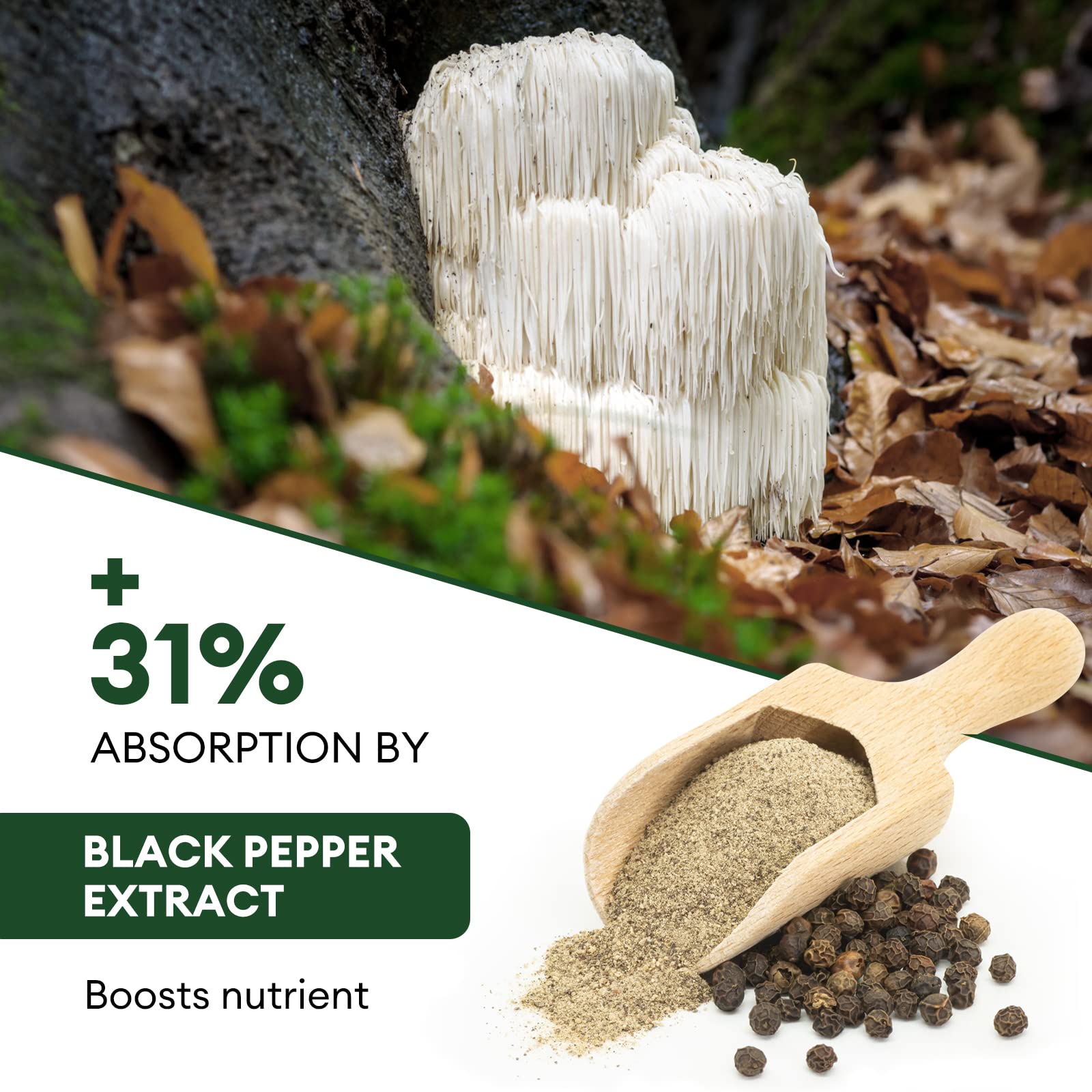 mushrooms for enhanced mental clarity