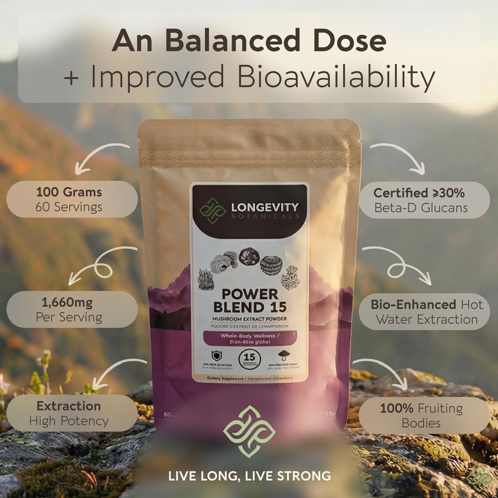 mushrooms for enhanced mental clarity