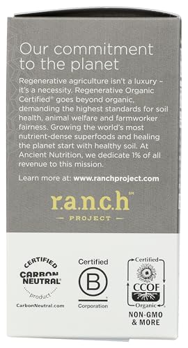mushrooms for enhanced mental clarity