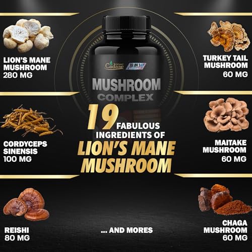 mushrooms for enhanced mental clarity